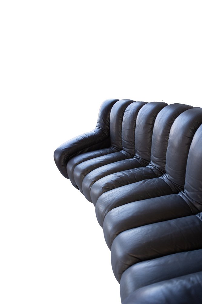 Set of DS-600 Non Stop Sofa by Eleonore Peduzzi Riva for de Sede, 1970s ...