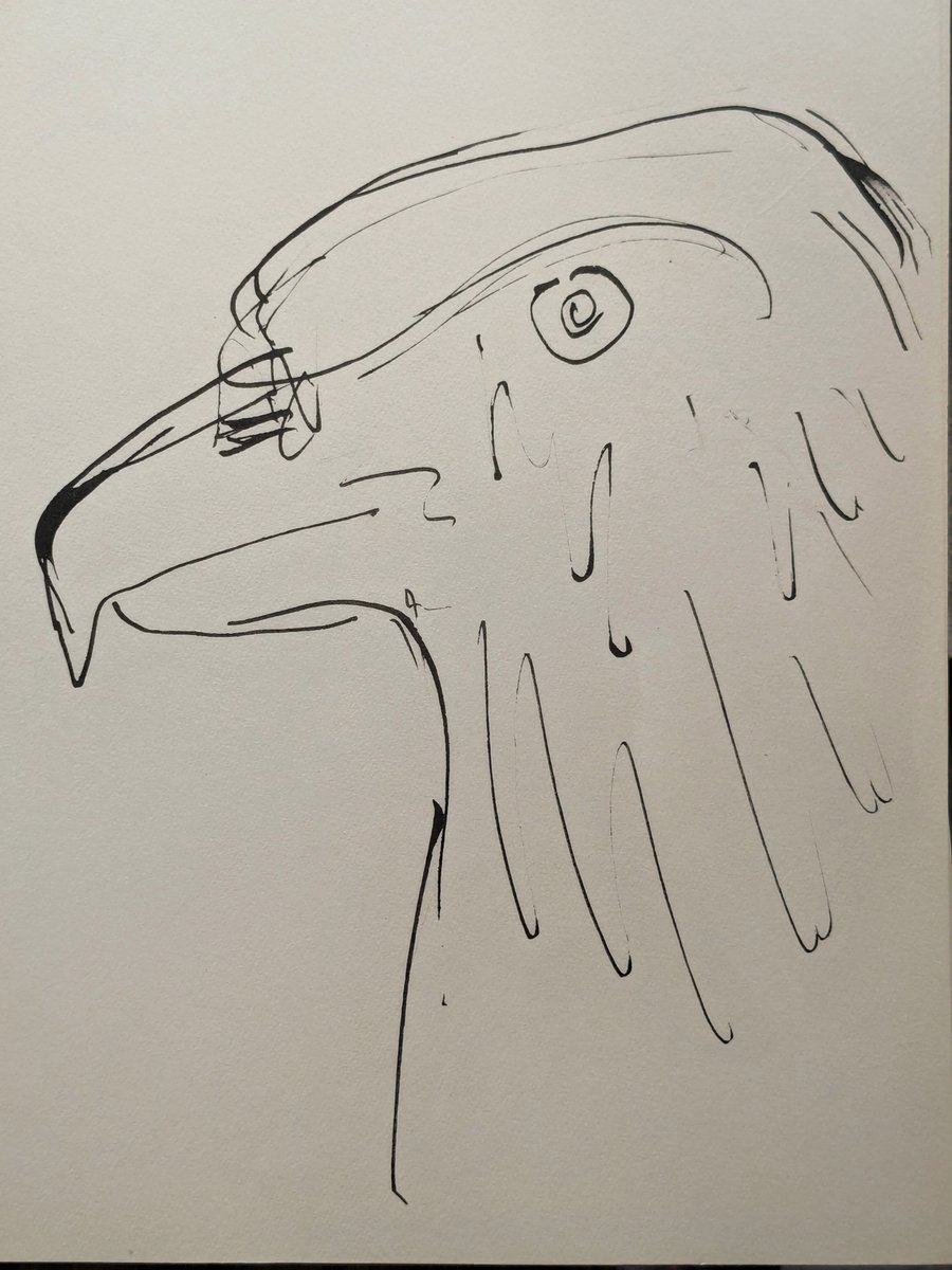Pablo Picasso Hawk Original Lithograph 1957 For Sale At Pamono