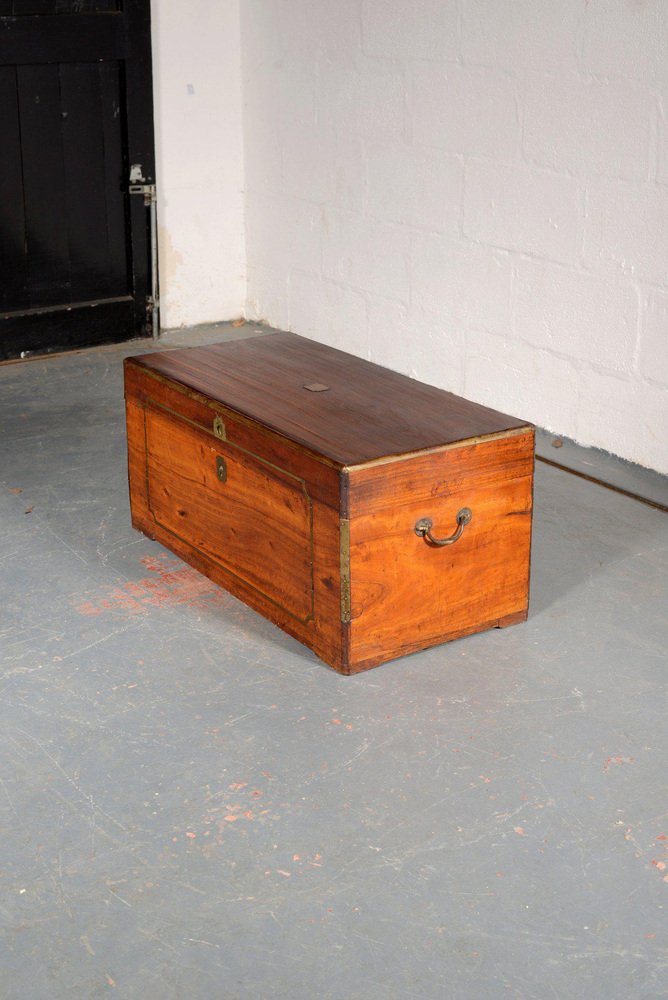 Victorian Brass Mounted Camphor Wood Trunk, 1860s for sale at Pamono