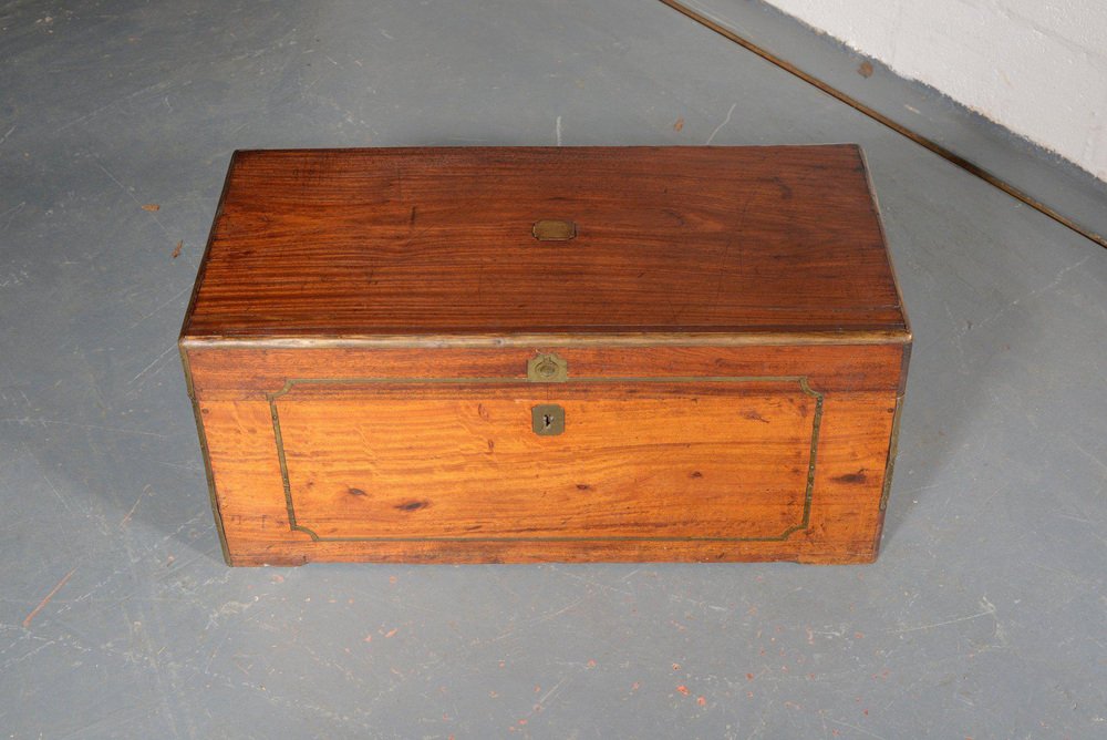 Victorian Brass Mounted Camphor Wood Trunk, 1860s for sale at Pamono