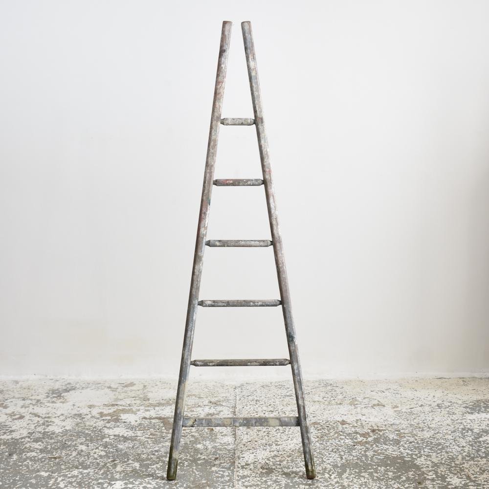 Large Vintage French Fruit Picking Ladder, 1950s for sale at Pamono