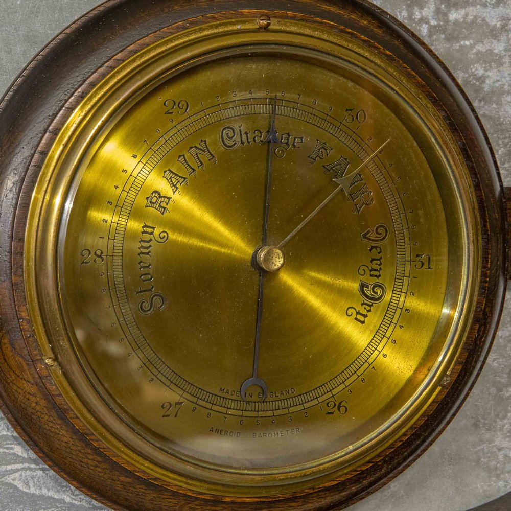 Small Barometer Coat Rack, 1920s for sale at Pamono