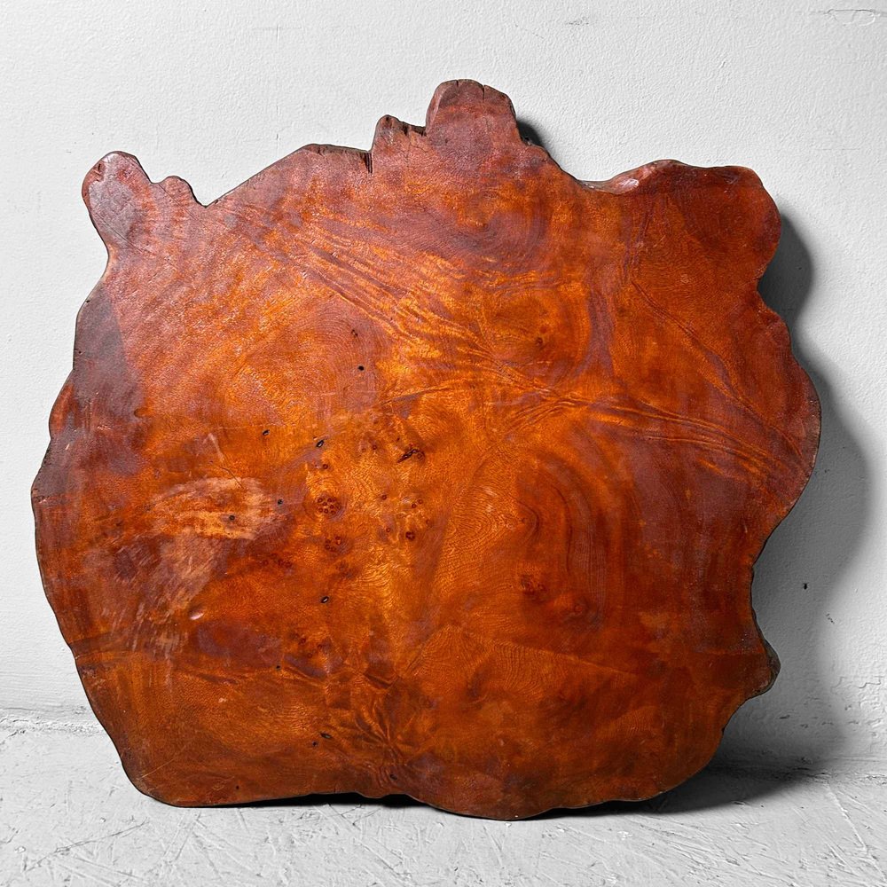 Yakusugi Wood Display, Japan, 1920s for sale at Pamono