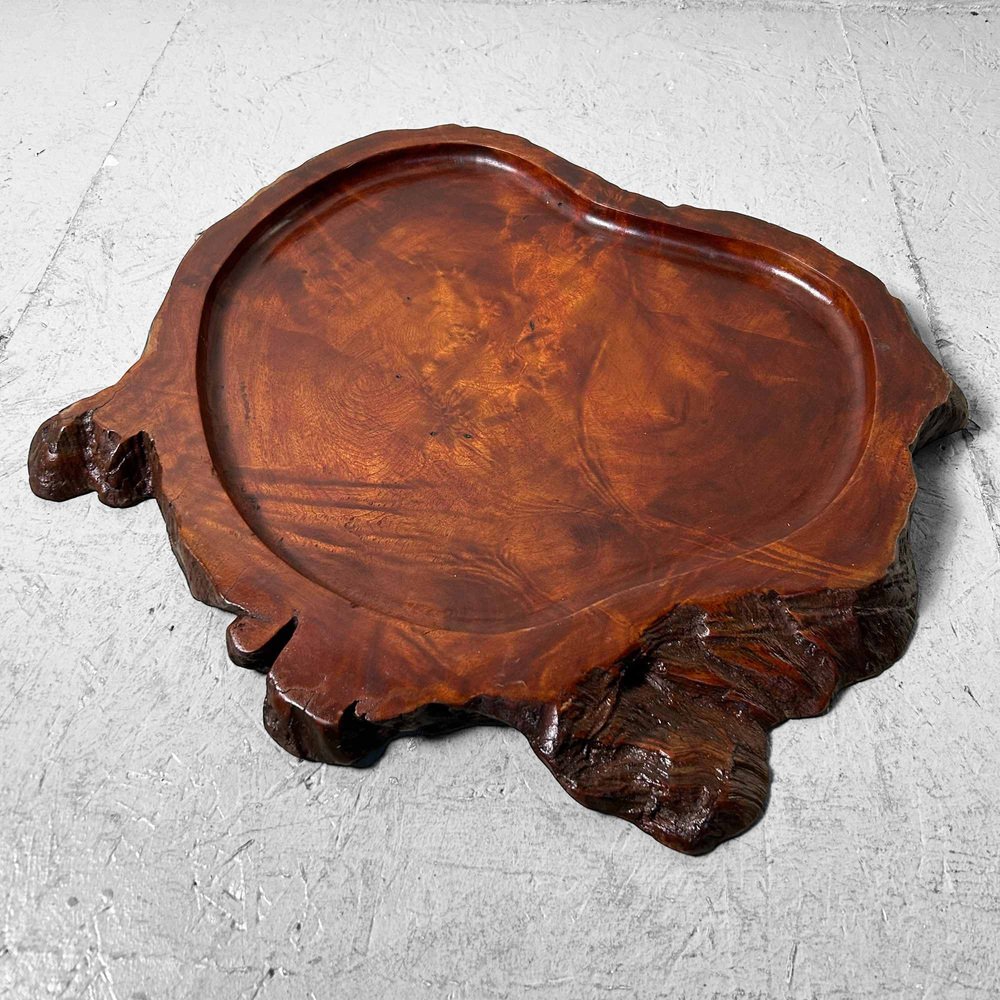 Yakusugi Wood Display, Japan, 1920s for sale at Pamono