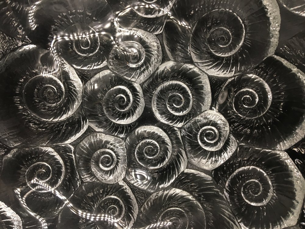 French Art Deco Glass Bowl with Shells and Fossil Motif, 1930s for sale ...