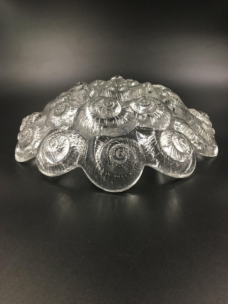 French Art Deco Glass Bowl with Shells and Fossil Motif, 1930s for sale ...