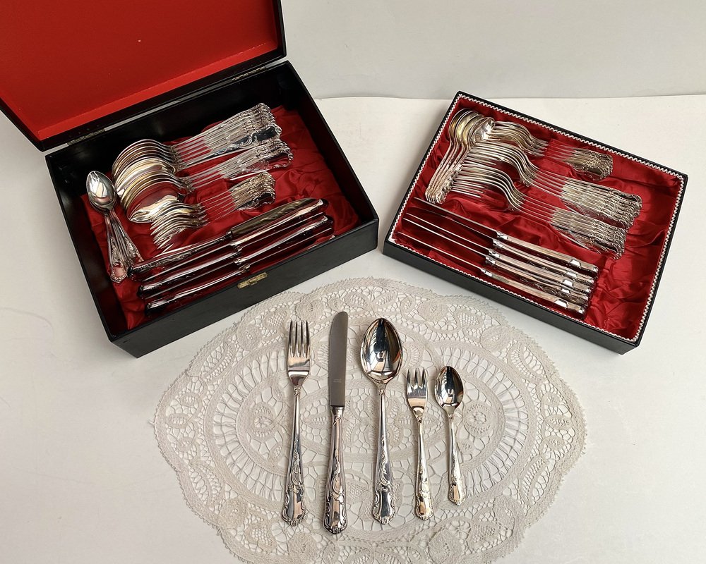 Vintage Cutlery Stainless Steel Set Solingen in Original Case, Germany ...