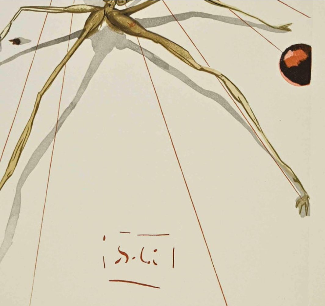 Salvador Dali, Araccne, Original Woodcut, 1960 for sale at Pamono Salvador Dali, Araccne, Original Woodcut, 1960 for sale at Pamono