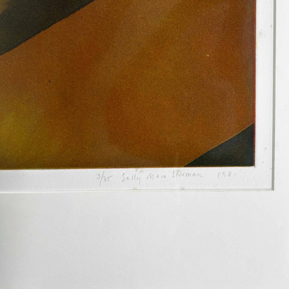 Sally Mara Sturman, Tulips, 1981, Original Lithograph, Framed for sale at Pamono