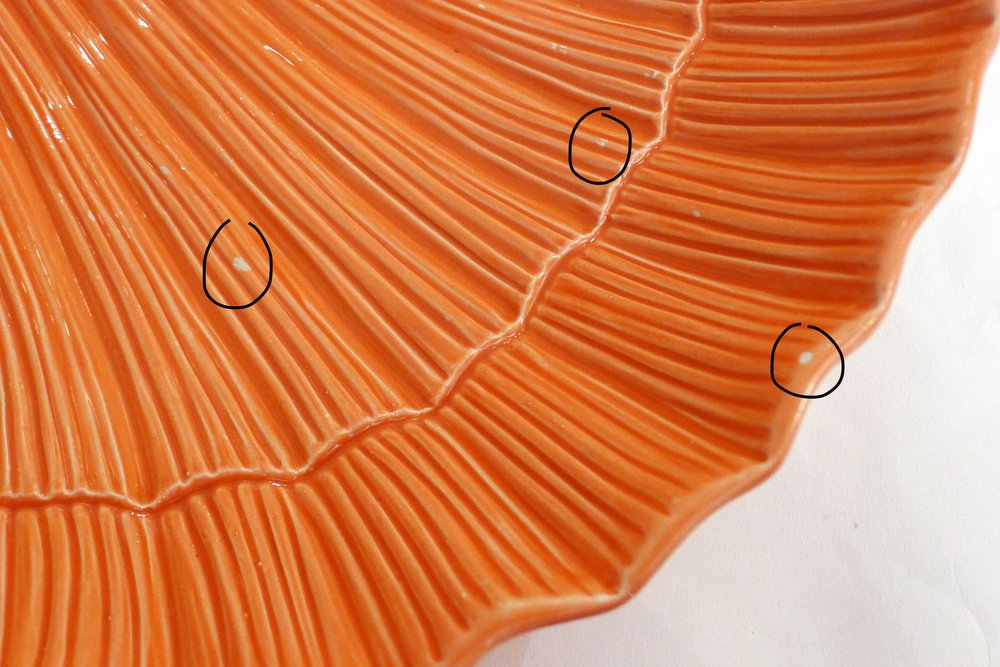 Mid-Century Shell Bowl by Bassano, 1950s for sale at Pamono