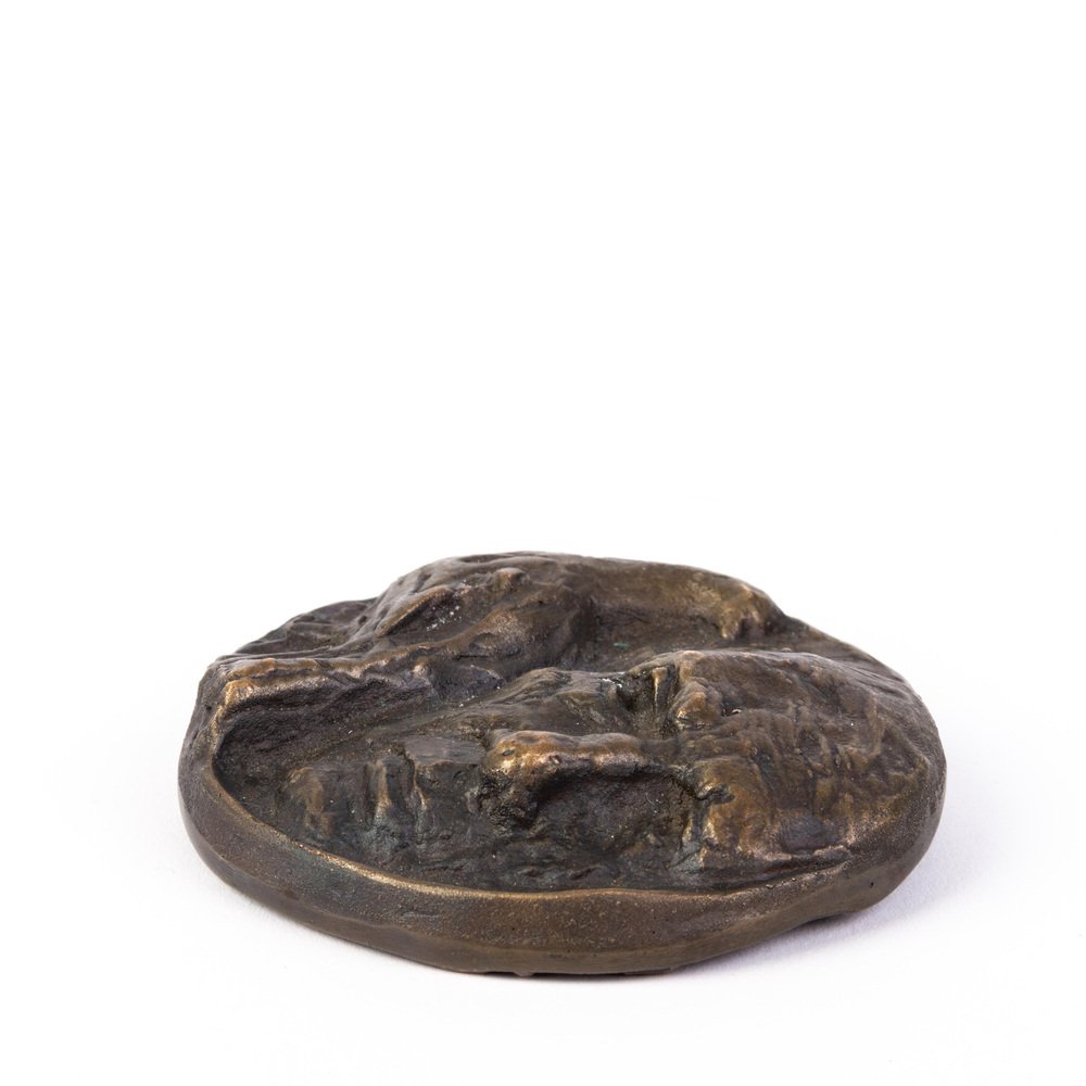 Bronze Pablo Picasso Relief Portrait for sale at Pamono