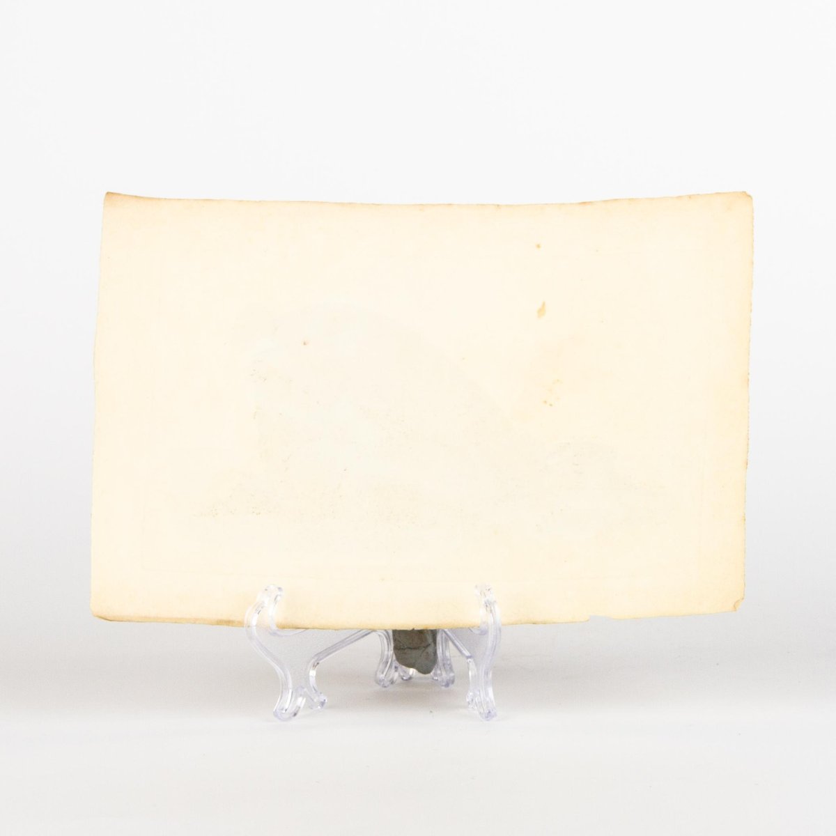 E. Donovan & F.C. & J. Rivington, Nature Illustration, Dec 1818, Hand ...