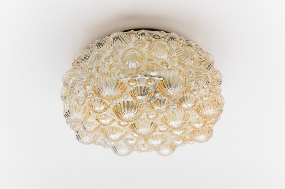 Mid-Century Modern Round Amber 3D Fossil Shell-Shaped Flush Mount ...