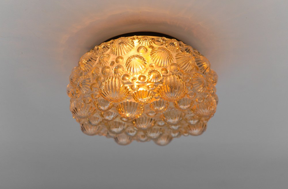 Mid-Century Modern Round Amber 3D Fossil Shell-Shaped Flush Mount ...
