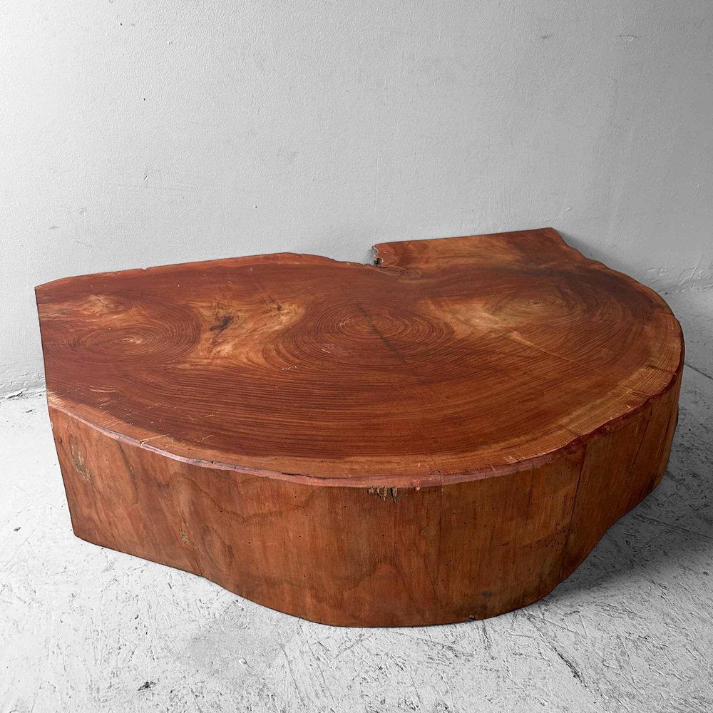 Yakusugi Holz Baumstamm Display, Japan, 1950er bei Pamono kaufen