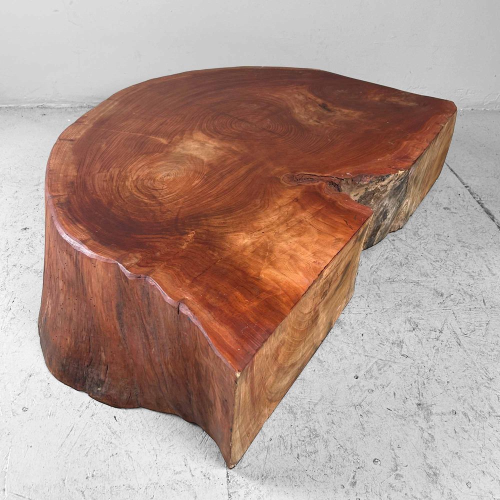 Yakusugi Wooden Tree Trunk Display, Japan, 1950s for sale at Pamono