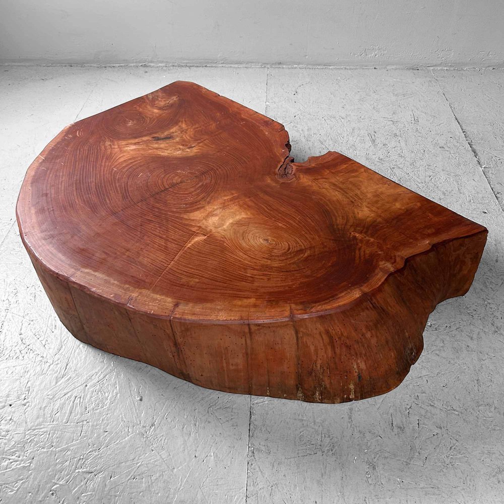 Yakusugi Wooden Tree Trunk Display, Japan, 1950s for sale at Pamono