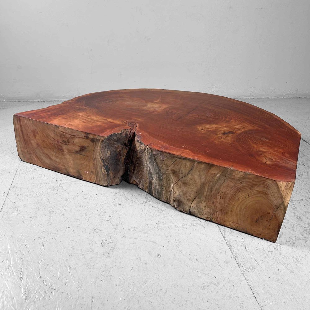 Yakusugi Wooden Tree Trunk Display, Japan, 1950s for sale at Pamono