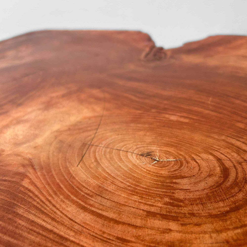 Yakusugi Wooden Tree Trunk Display, Japan, 1950s for sale at Pamono