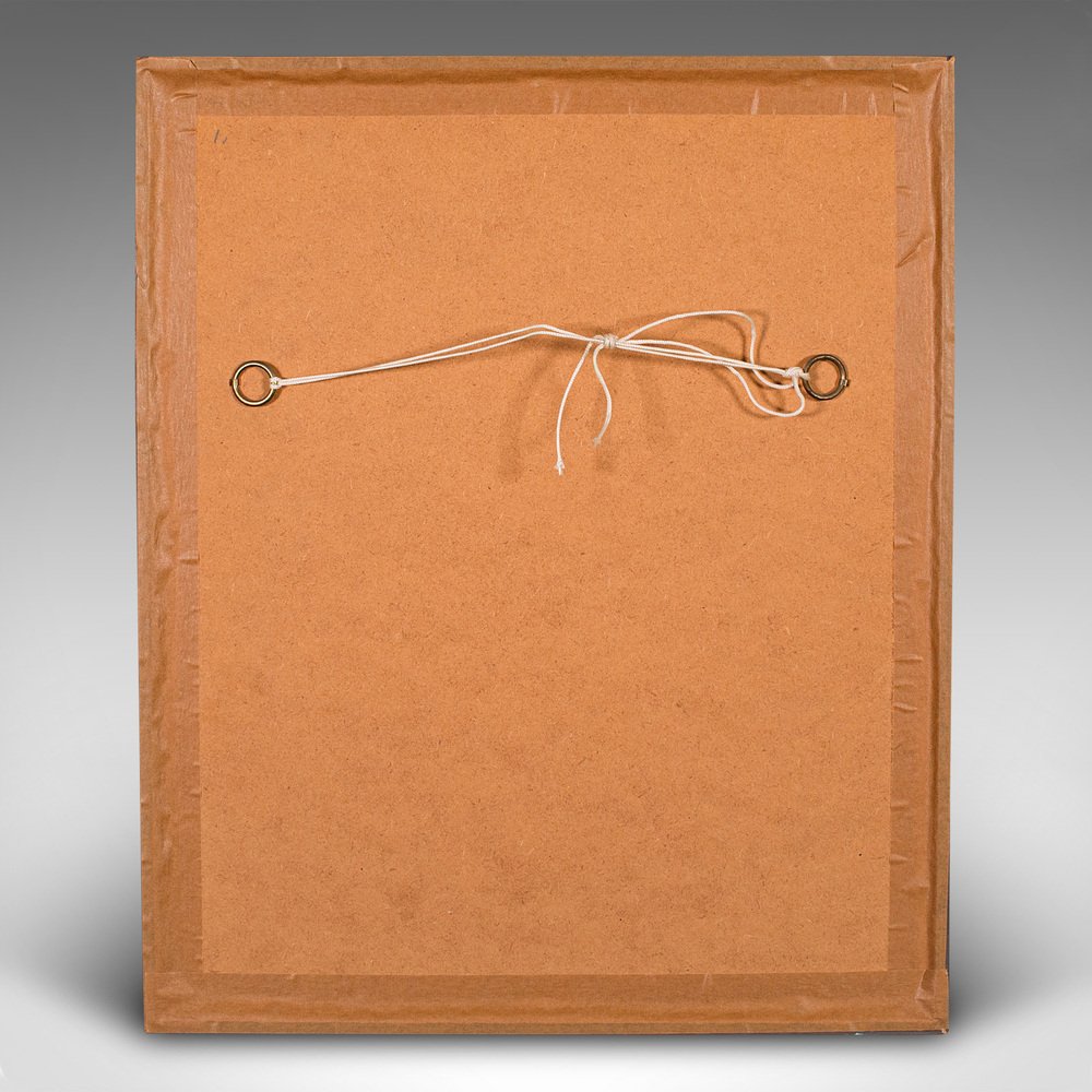 Antique Lithography Map for sale at Pamono