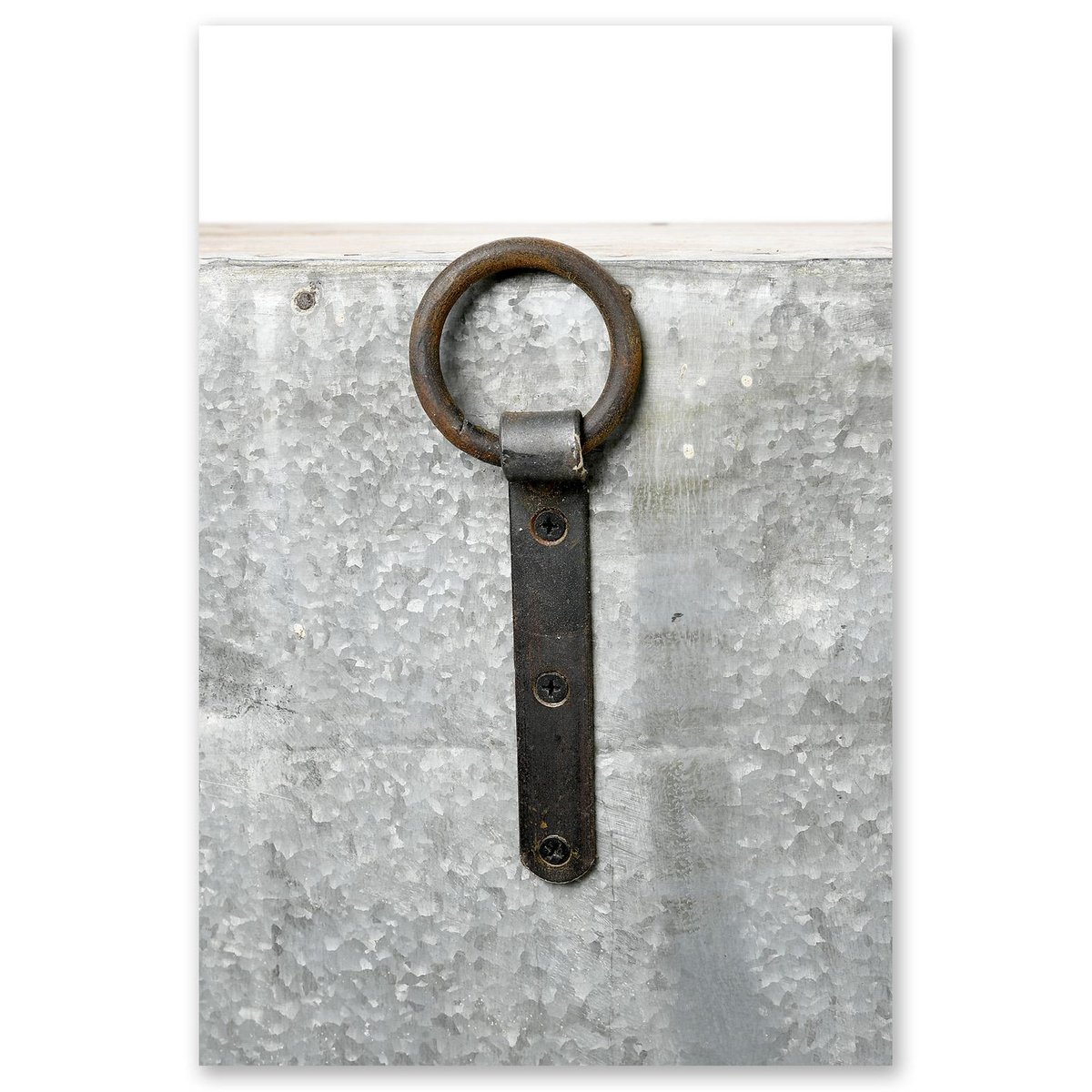 Long Wall Showcase to Hang in Wood and Zinc for sale at Pamono