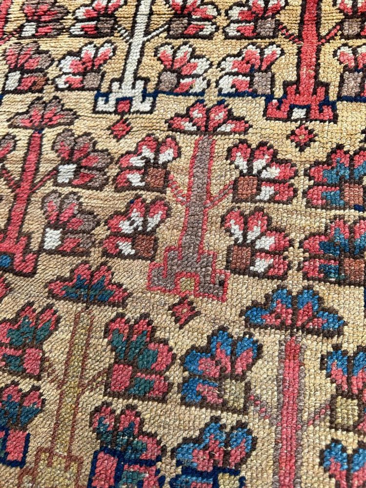 Kurdish Tribal Collectible Rug for sale at Pamono