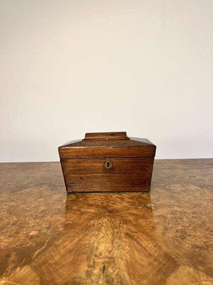 Victorian Rosewood Storage Box, 1850s for sale at Pamono