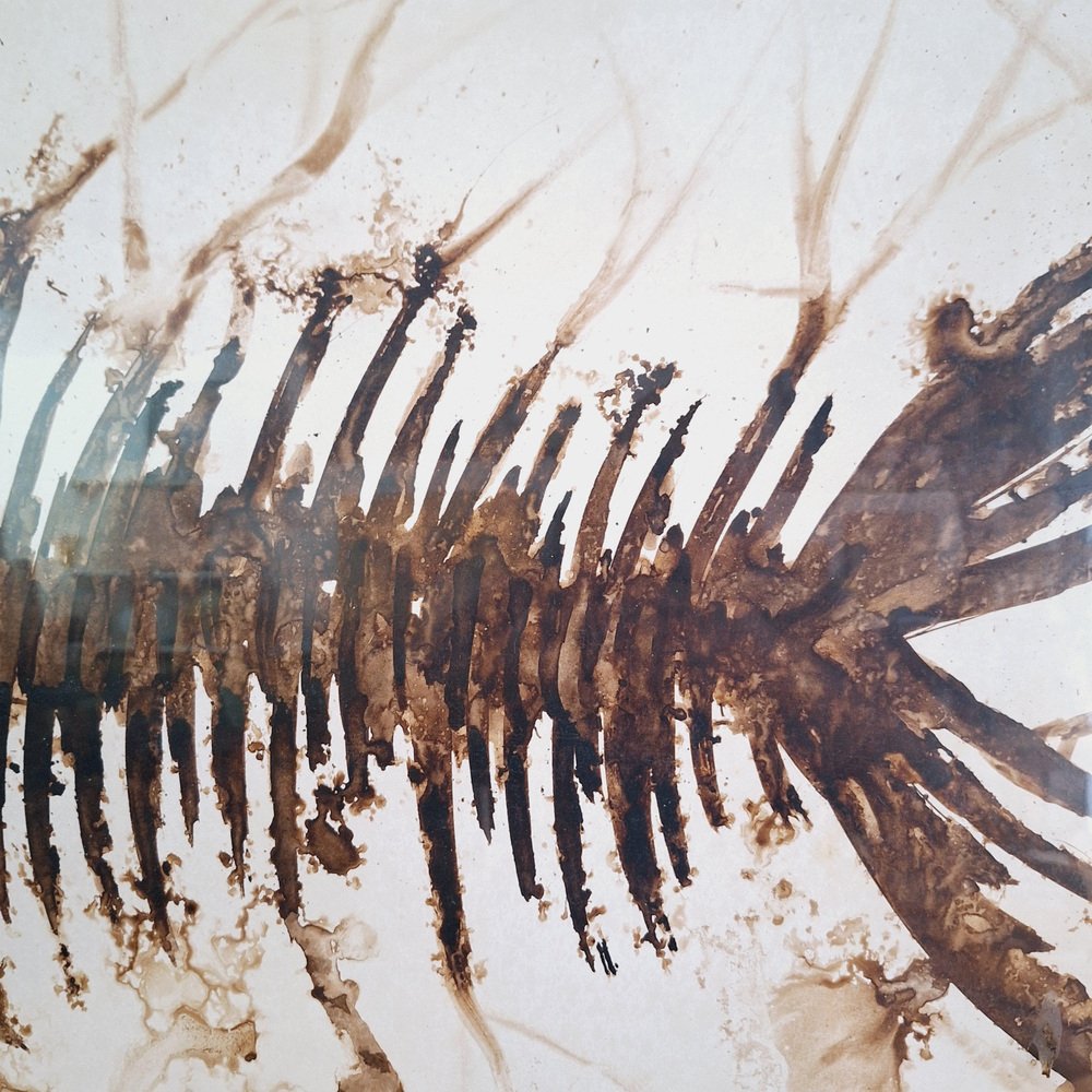 Spanish School Artist, Neo Primitive Figuration of Fish Bone, Mixed ...