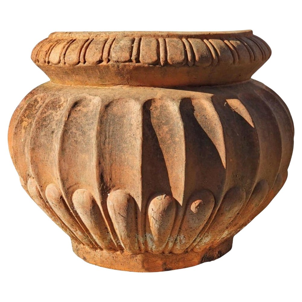 Antique Cachepot in Terracotta, 19th Century for sale at Pamono