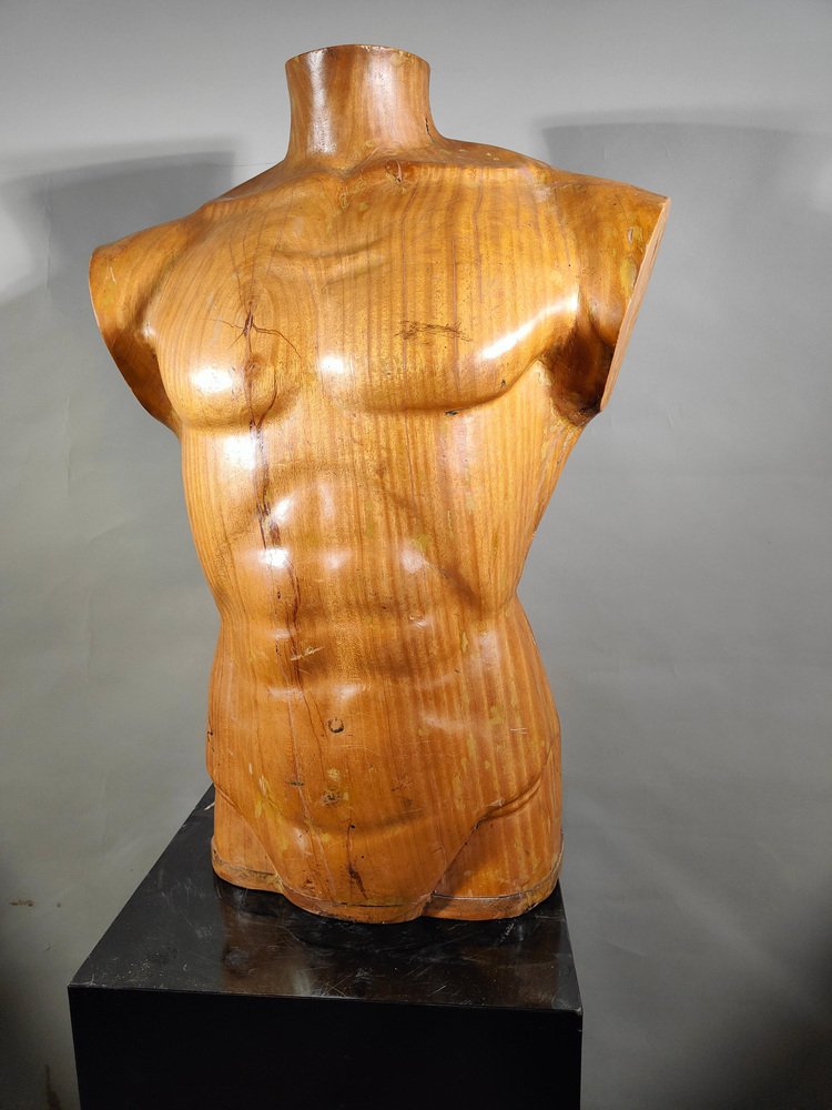 French Wooden Male Torso, 1950s for sale at Pamono