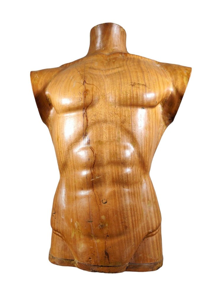 French Wooden Male Torso, 1950s for sale at Pamono