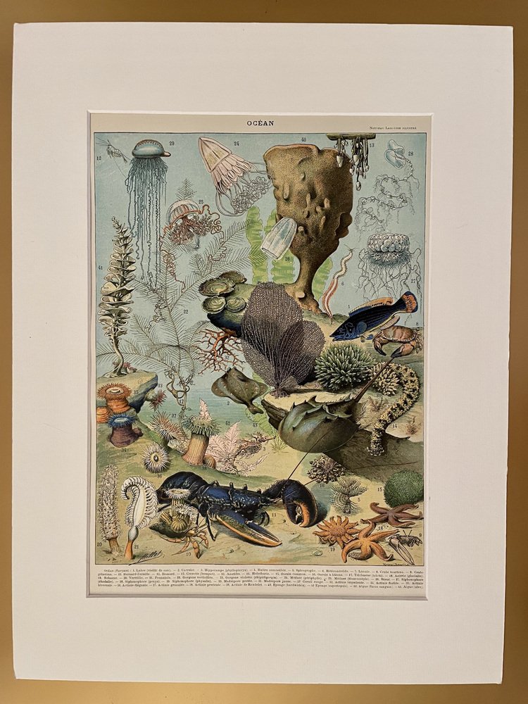 Adolphe Millot, Ocean Surface, 1900, Lithographic Engraving for sale at ...