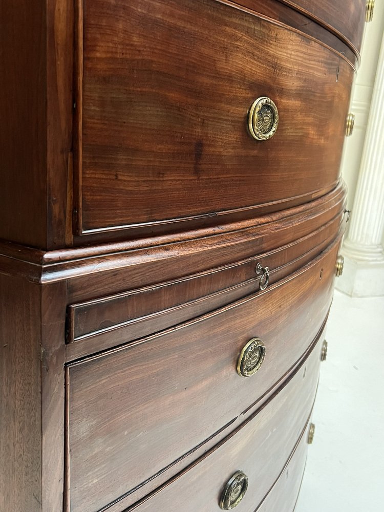 Bow Front Chest of Drawers for sale at Pamono