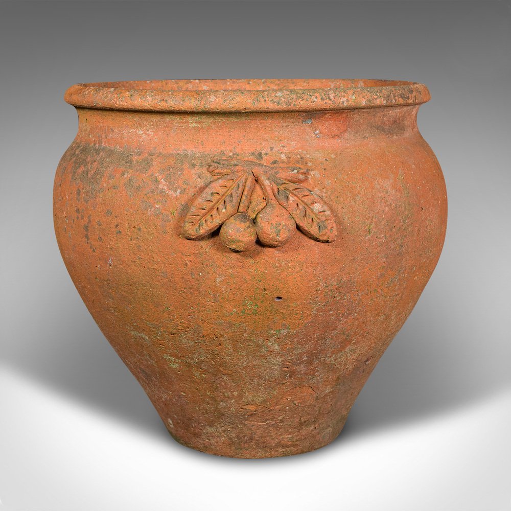 Italian Terracotta Olive Tree Planter, 1950s for sale at Pamono