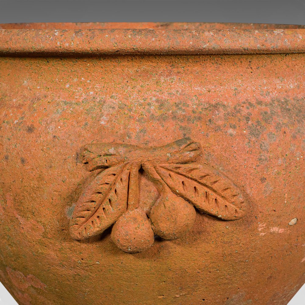 Italian Terracotta Olive Tree Planter, 1950s for sale at Pamono