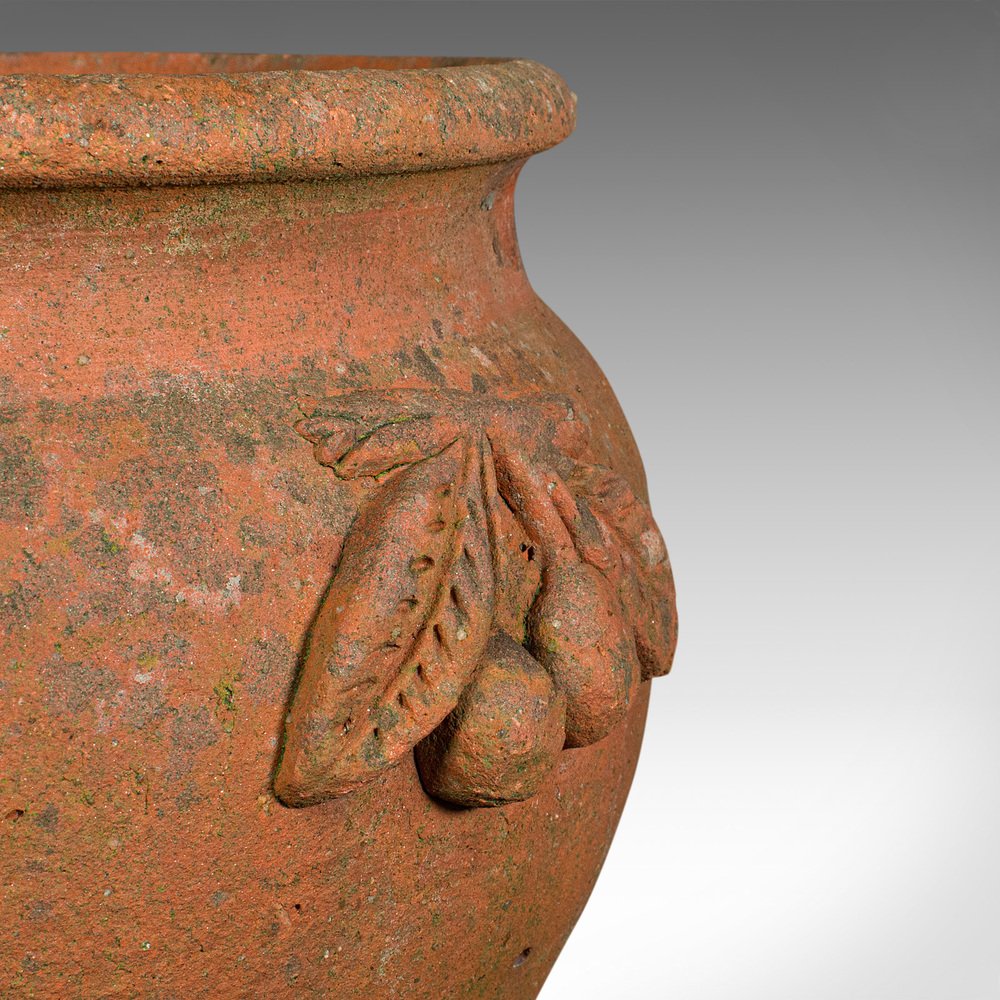 Italian Terracotta Olive Tree Planter, 1950s for sale at Pamono