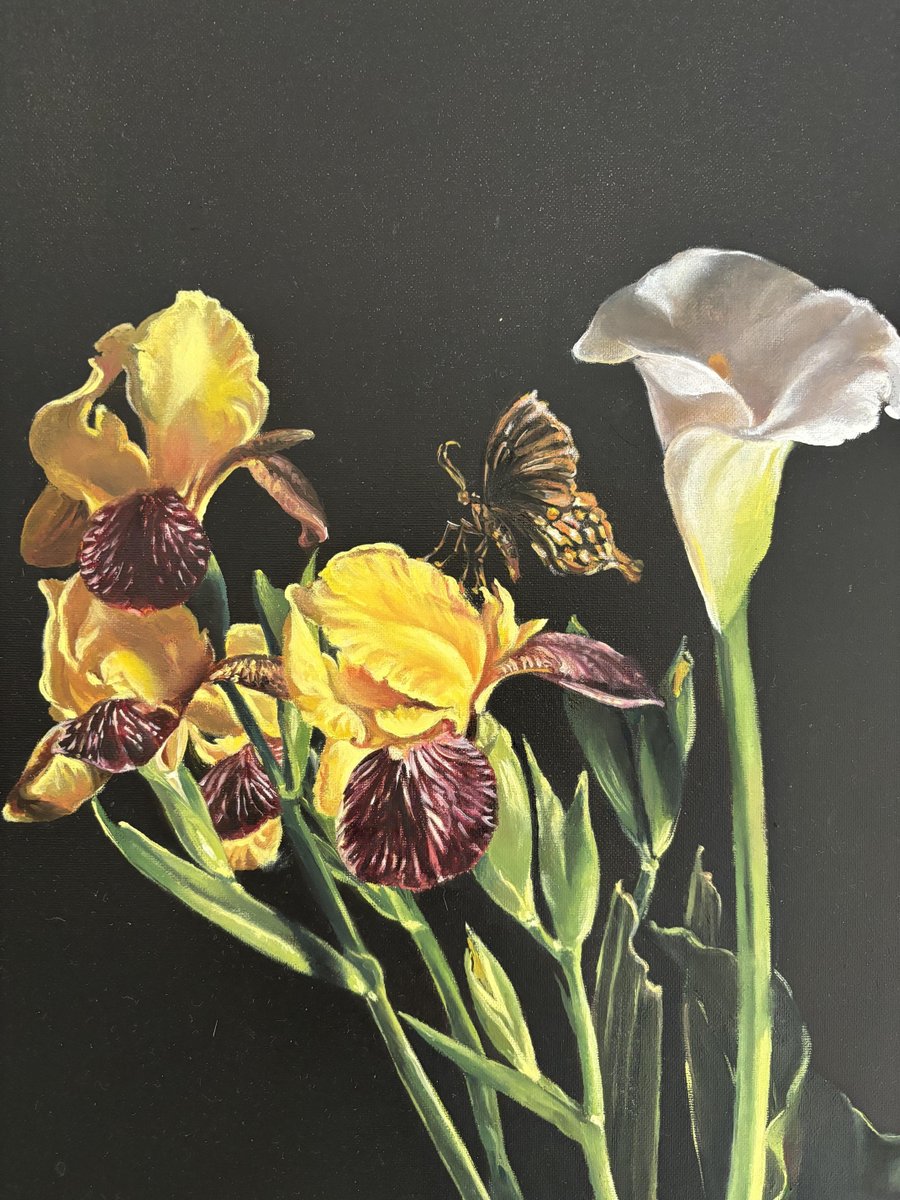 Silvia Rege Cambrin, Habitat, Oil on Canvas, 2019 for sale at Pamono