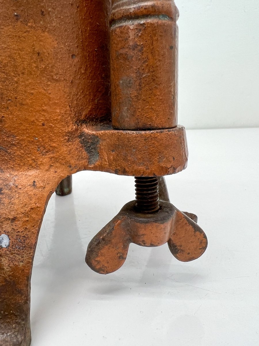 Antique French Cast Iron Fruit Press from Alexanderwerk, 1940s for sale ...