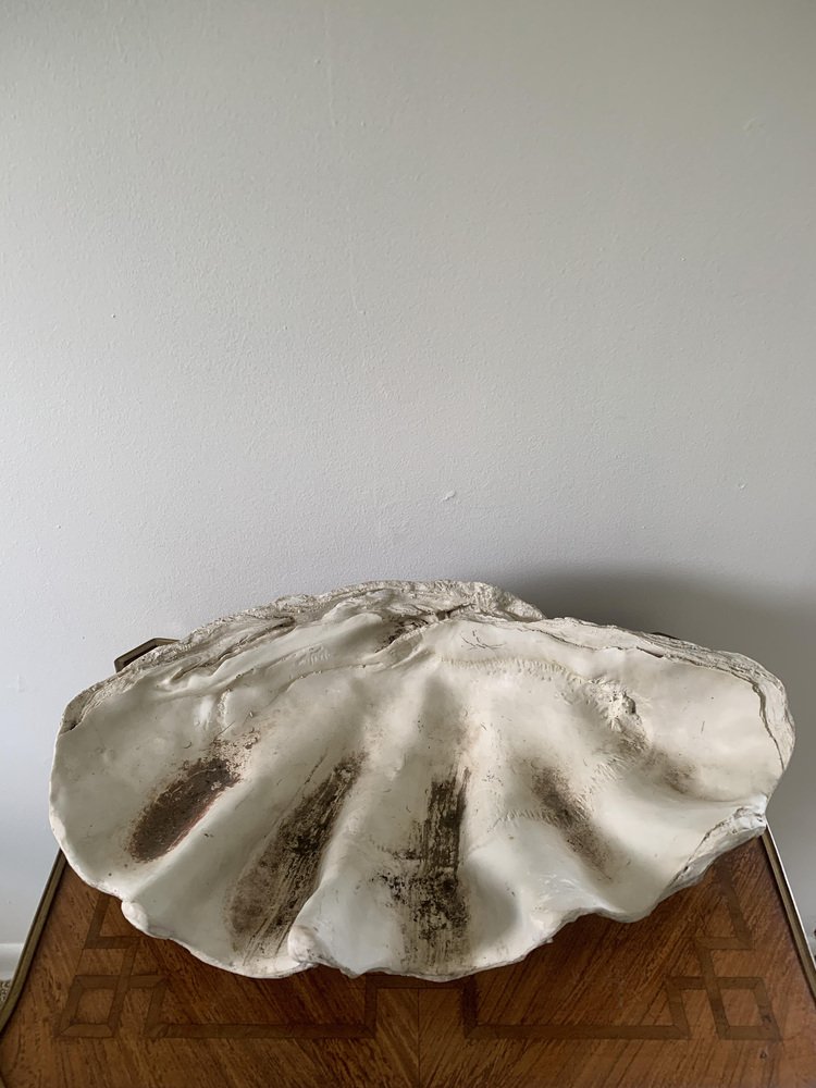 Large Mid 20th Century Faux Clam Shell for sale at Pamono