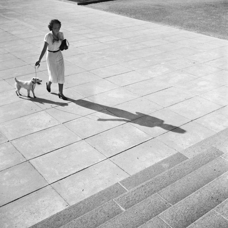 Woman with a Fox Terrier, Germany, 1930, Photograph for sale at Pamono
