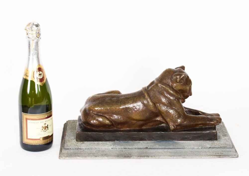 Louis Riche, Antique Sculpture of Lioness, Early 20th Century, Bronze ...