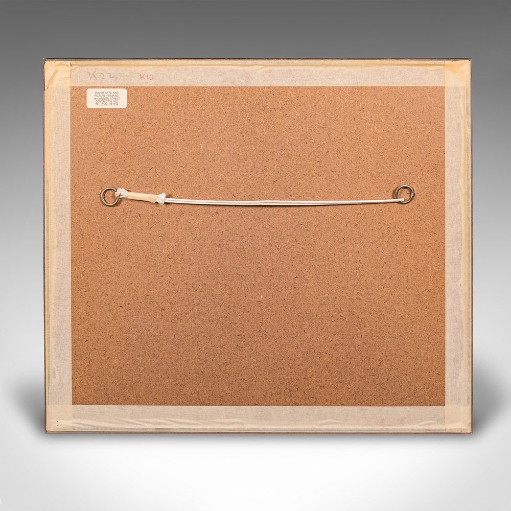 Antique English Framed County Map for sale at Pamono