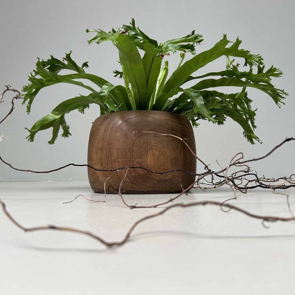 Vintage Japanese Fire Pot, 1920s for sale at Pamono