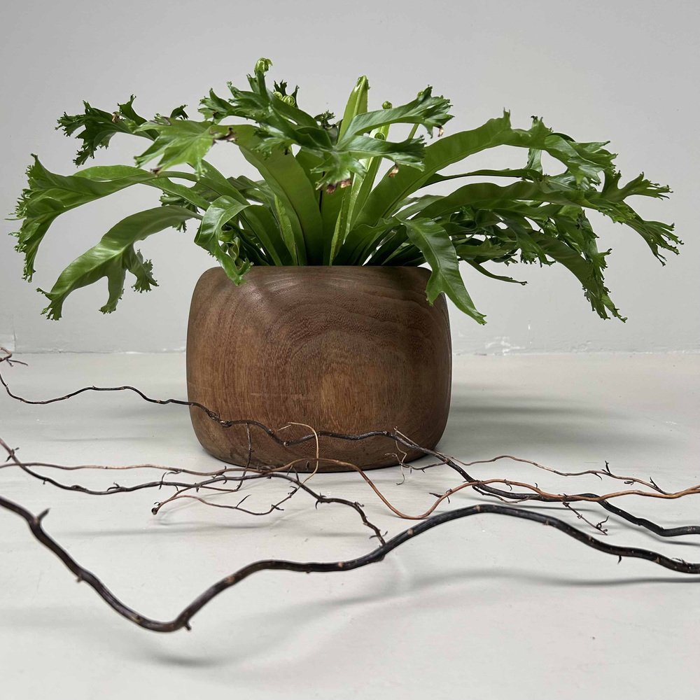 Vintage Japanese Fire Pot, 1920s for sale at Pamono