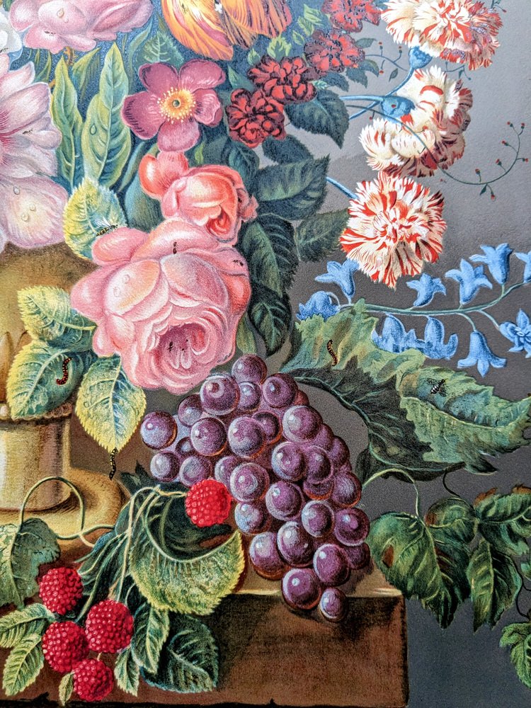 Joseph Nigg, Still Life with Flowers, Fruits and Butterflies, Original ...