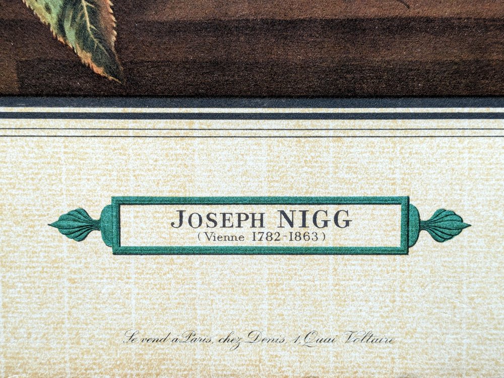 Joseph Nigg, Still Life with Flowers, Fruits and Insects, Original ...