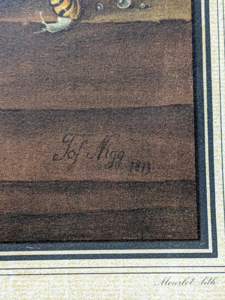 Joseph Nigg, Still Life with Flowers, Fruits and Insects, Original ...