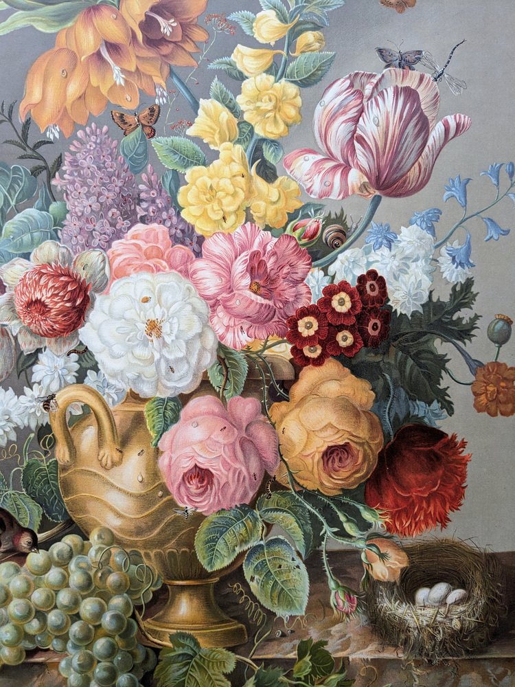 Joseph Nigg, Still Life with Flowers and Bird, Original Lithograph ...