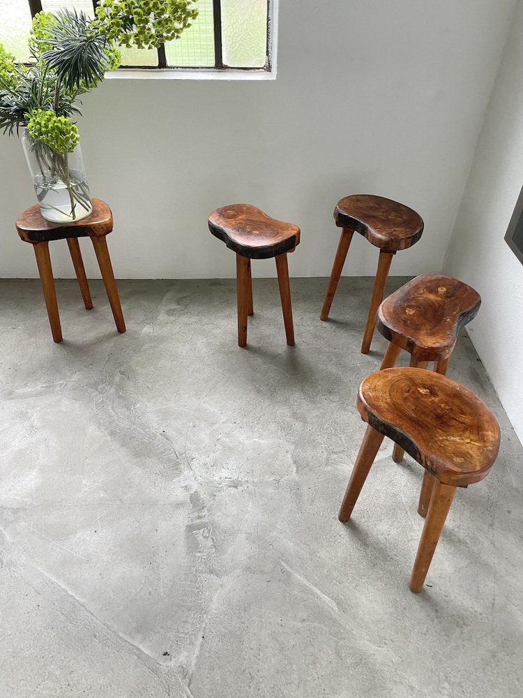 Olive Tree Tripod Stools, 1950s, Set of 5 for sale at Pamono
