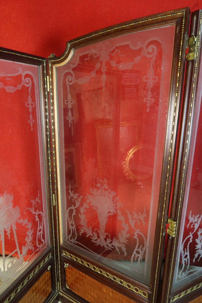 Antique Screen in Glass for sale at Pamono